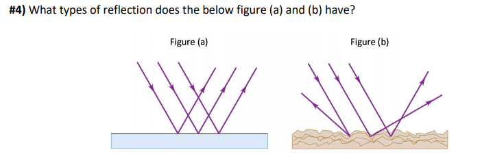Solved #4) What types of reflection does the below figure | Chegg.com