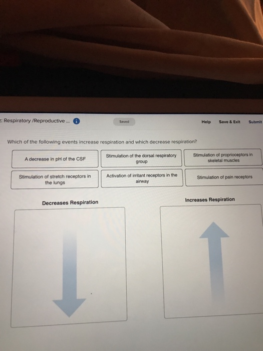 Solved Respiratory /Reproductive. Help Save&Exit Submit | Chegg.com Solved Respiratory /Reproductive. Help Save&Exit Submit | Chegg.com