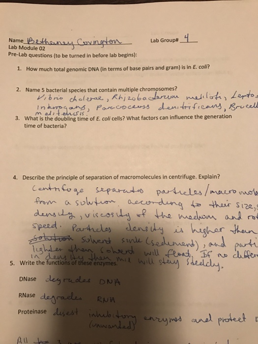 Solved Pre-Lab questions (to be turned in before lab | Chegg.com Solved Pre-Lab questions (to be turned in before lab | Chegg.com