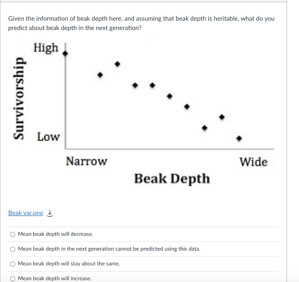Solved Question 10 Given the information of beak depth here, | Chegg.com