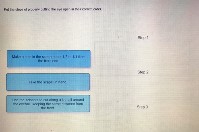 Solved Put the steps of properly cutting the eye open in | Chegg.com