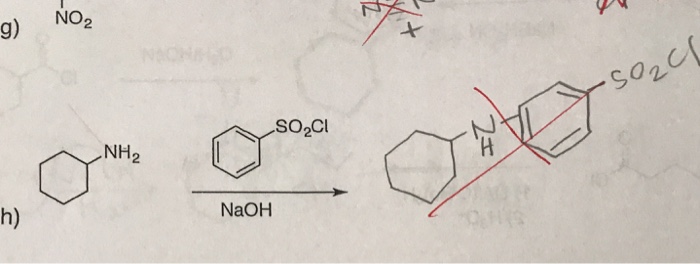 Solved NO2 g) SO2Cl NH2 NaOH h) | Chegg.com Solved NO2 g) SO2Cl NH2 NaOH h) | Chegg.com