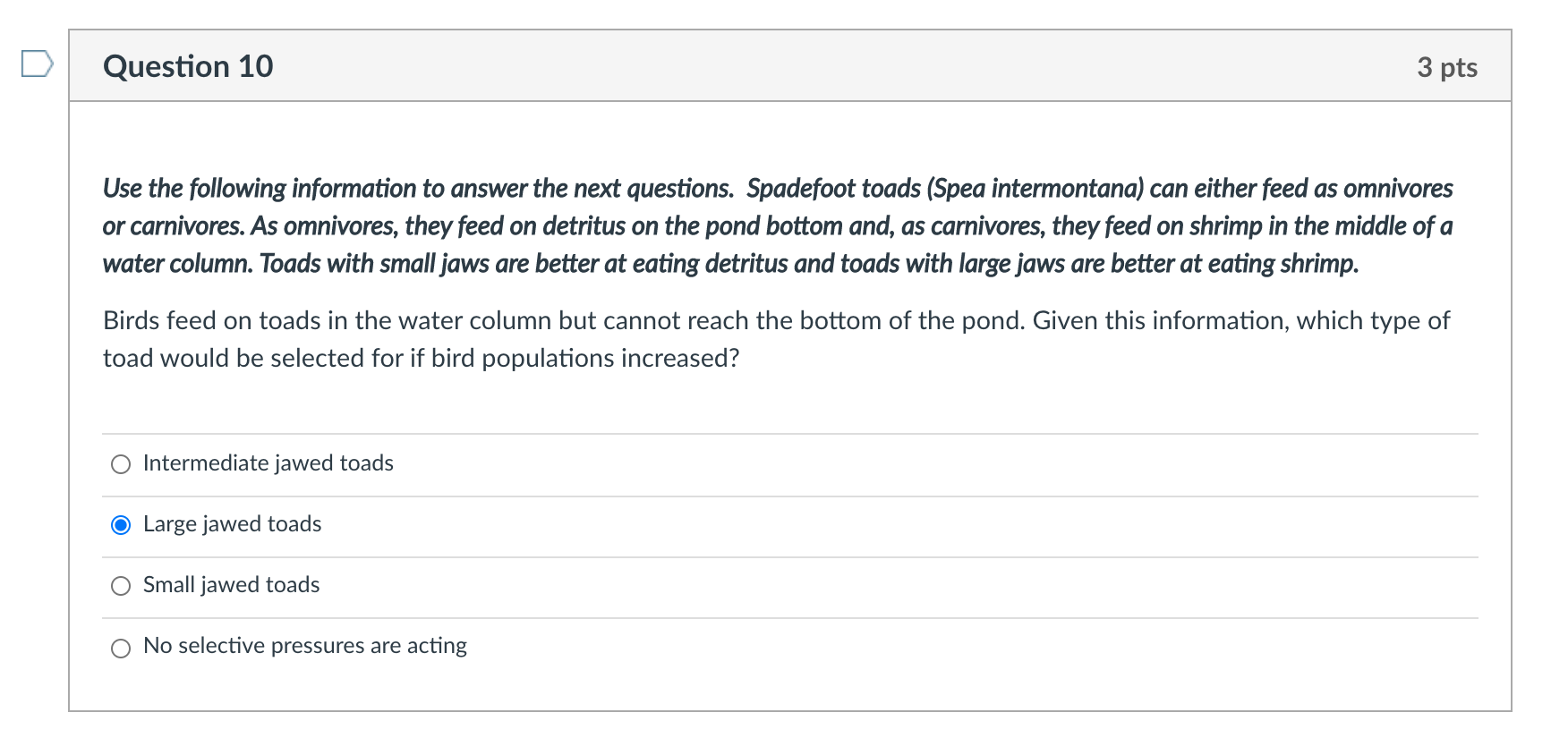Solved Question 6 3 pts Anomalocaris once ruled the seas and | Chegg.com