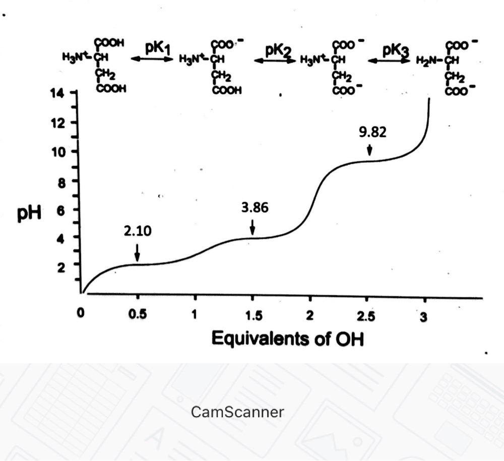 Solved What is the isoelectric point (pI) for this amino | Chegg.com