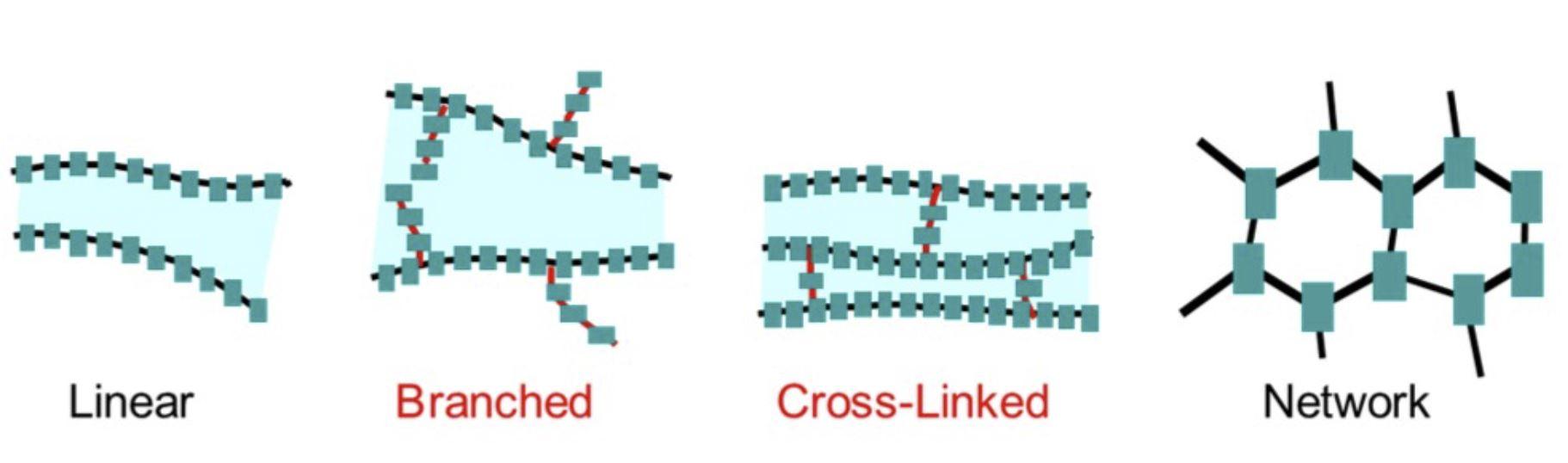 Solved Arrange the following polymer structures in the order | Chegg.com