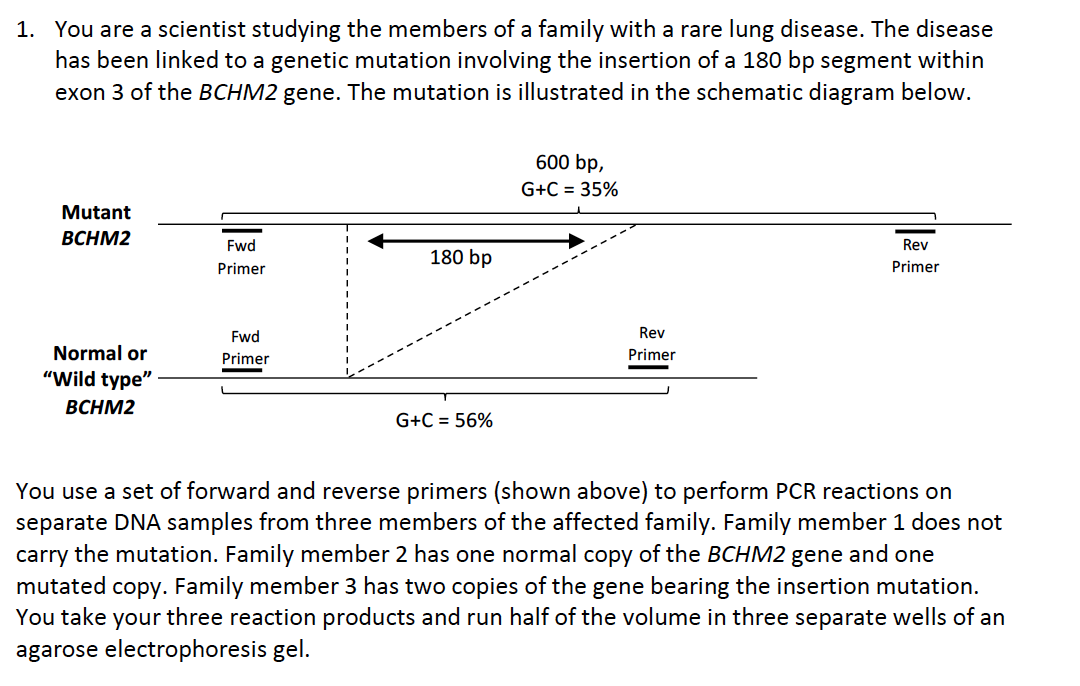 Solved 1. You are a scientist studying the members of a | Chegg.com