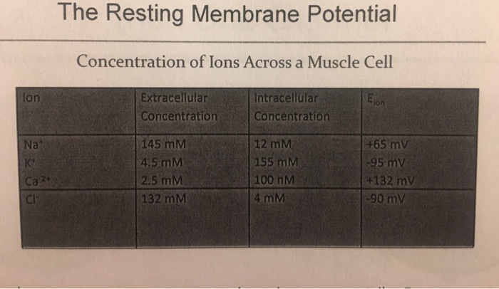 Solved The Resting Membrane Potential Q. Calculate the | Chegg.com