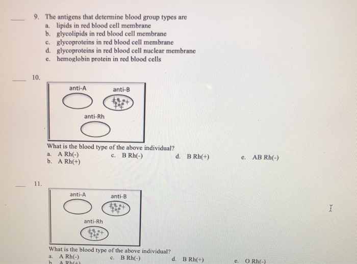 Solved 9. The antigens that determine blood group types are | Chegg.com