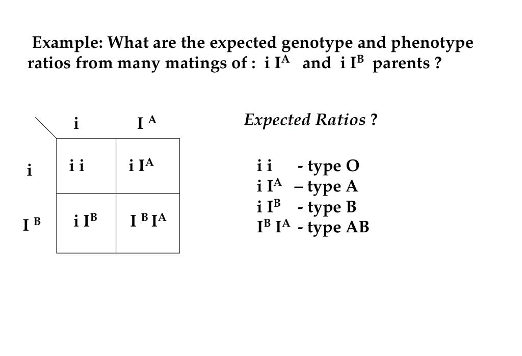 Solved Example: What are the expected genotype and phenotype | Chegg.com