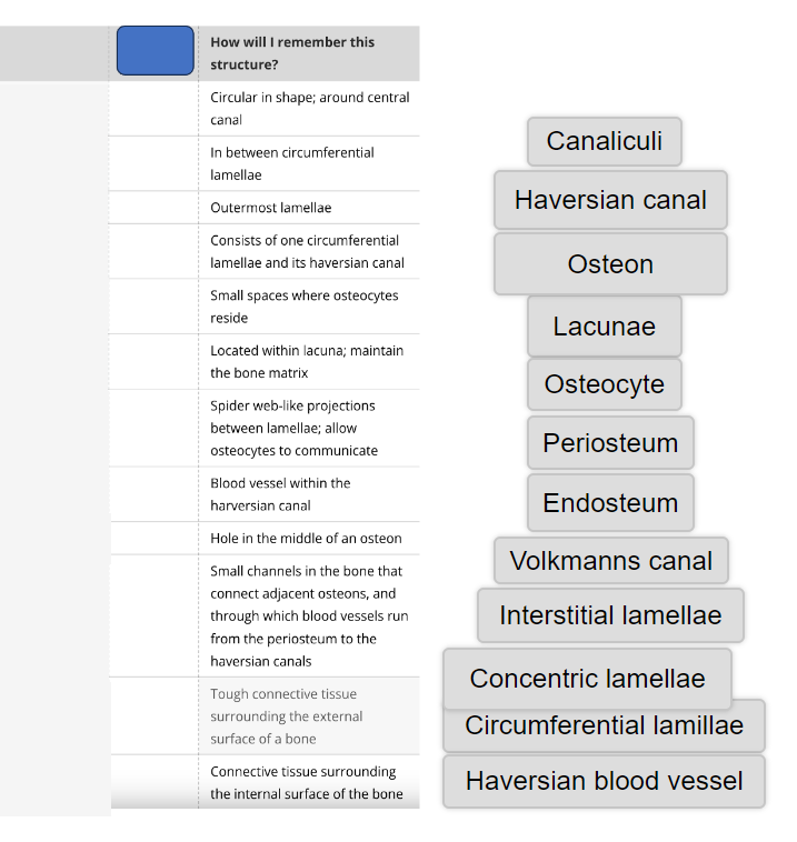 Solved Drag and Drop the appropriate bone structure to match | Chegg.com