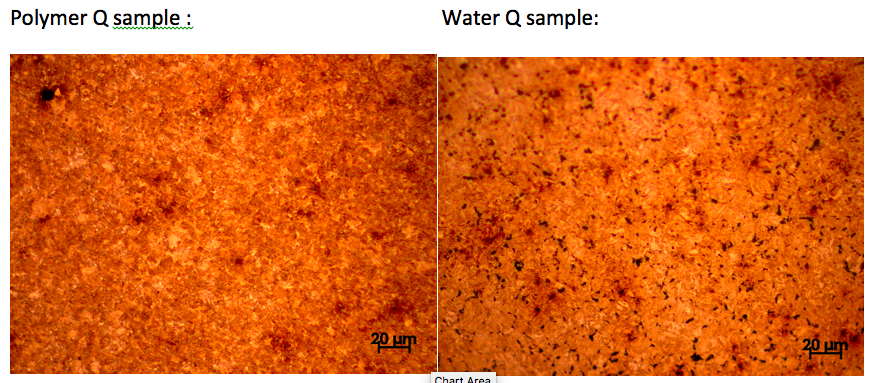 Solved Compare the microstructures of the various samples. | Chegg.com