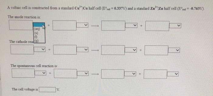 Solved Please label the Anode Reaction? Please label | Chegg.com