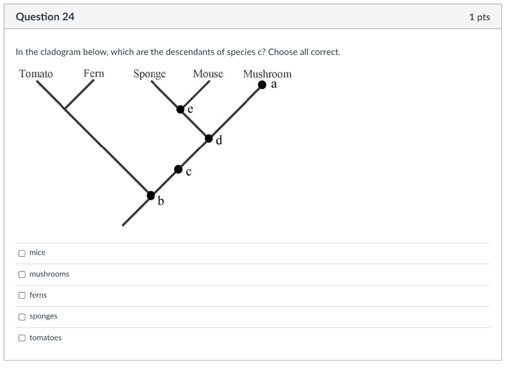 Solved Question 23 1 pts In the cladogram below, which | Chegg.com