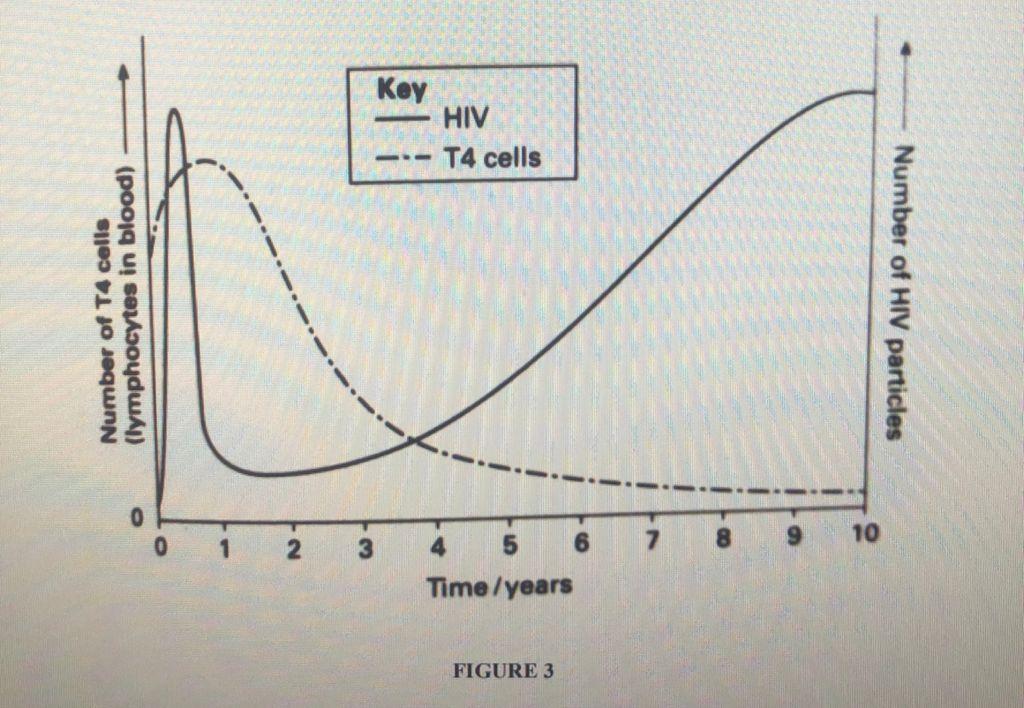 Solved 2. a) The graph in Figure 3 represents the | Chegg.com