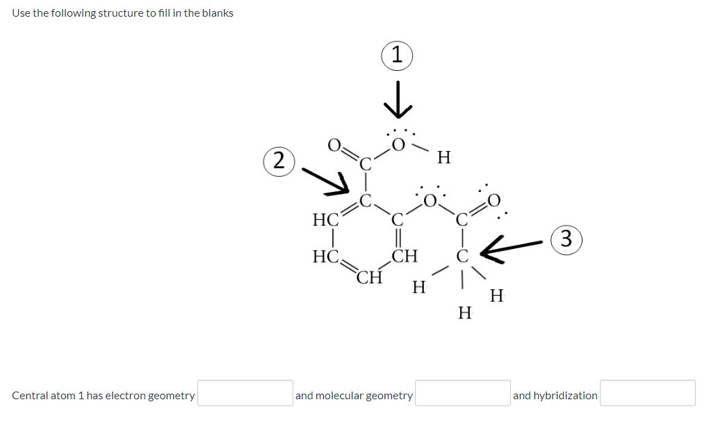 Solved Use the following structure to fill in the blanks | Chegg.com