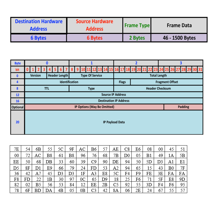 Solved What is the network ID in the | Chegg.com