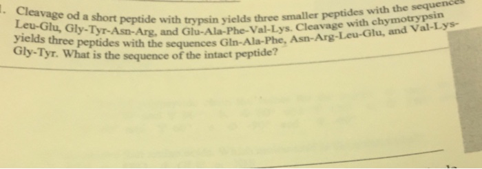 Solved Cleavage od a short Leu-Glu Glye with trypsin yields | Chegg.com