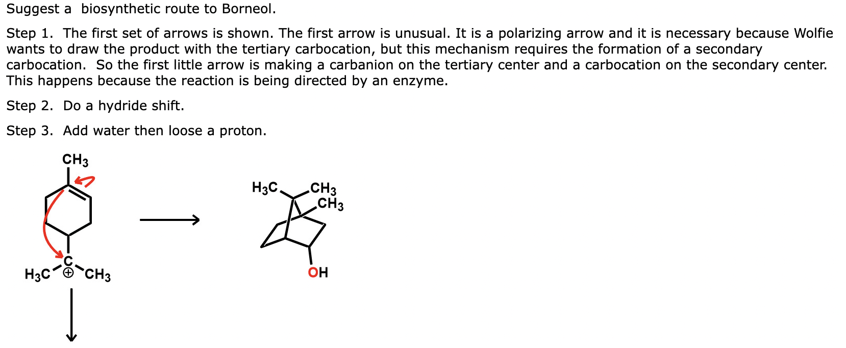 Solved Suggest a biosynthetic route to Borneol. Step 1. The | Chegg.com