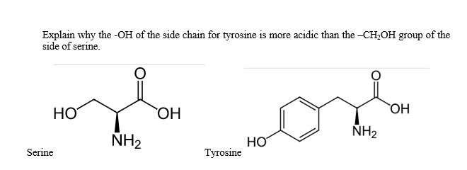 Solved Explain why the -OH of the side chain for tyrosine is | Chegg.com