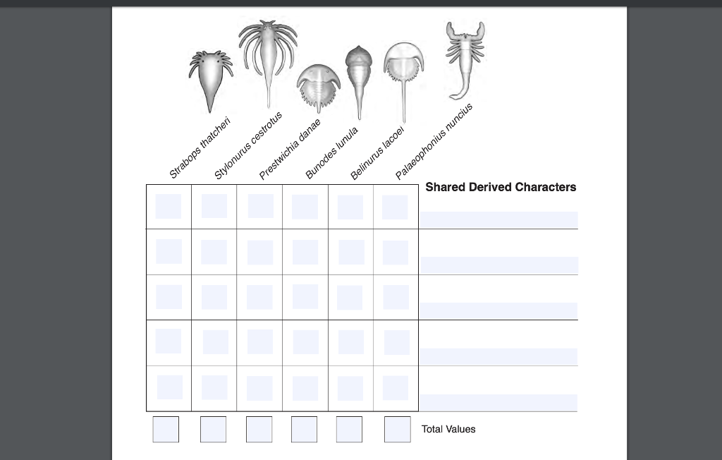 Solved Merostomata Phylogony Ocelli Walking Appendages | Chegg.com