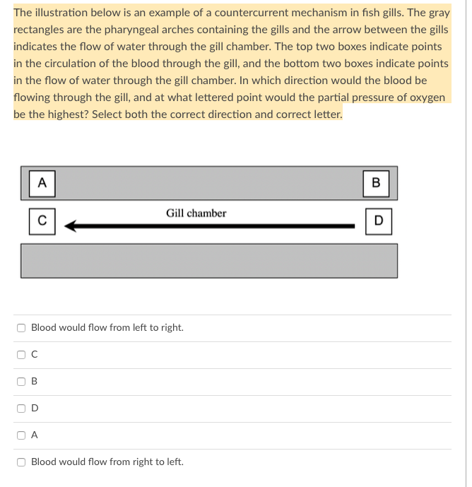 Solved The illustration below is an example of a | Chegg.com
