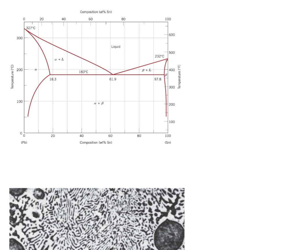 Solved 50 μm Figure 9.17 Photomicrograph showing the | Chegg.com
