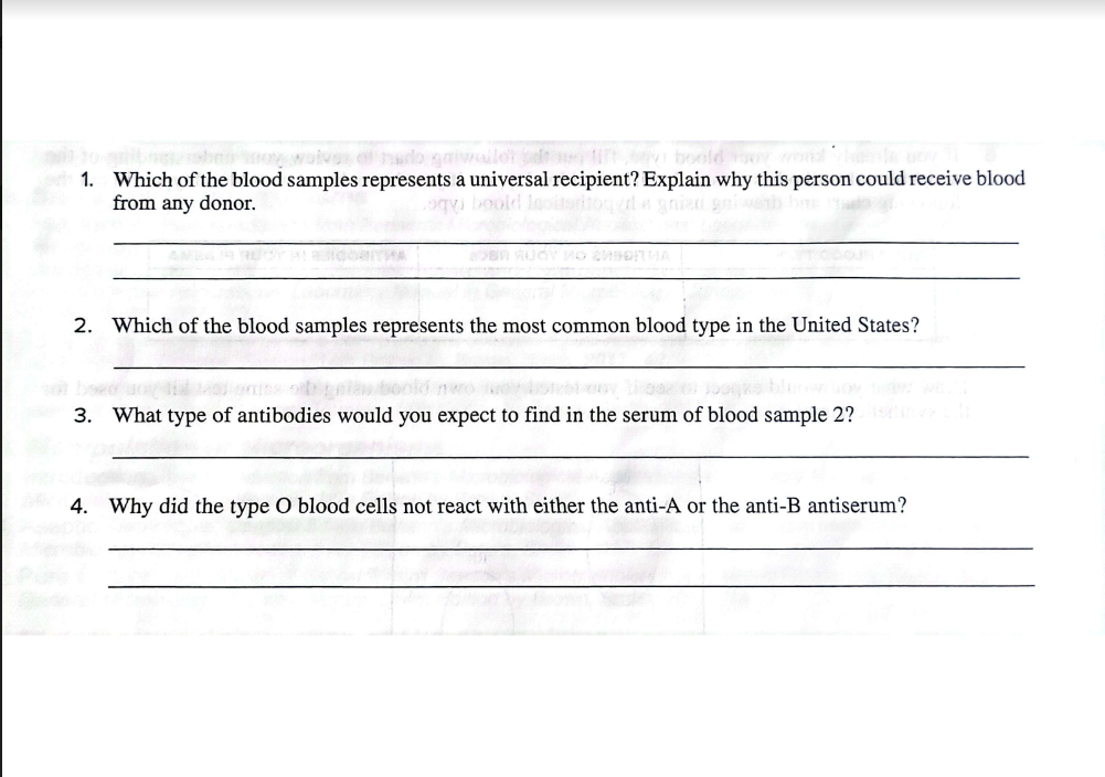 Solved \begin{tabular}{|c|c|c|c|} \hline & Blood Sample1 & | Chegg.com