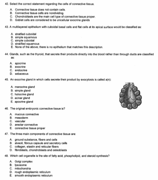 Solved 42 Select The Correct Statement Regarding The Cells