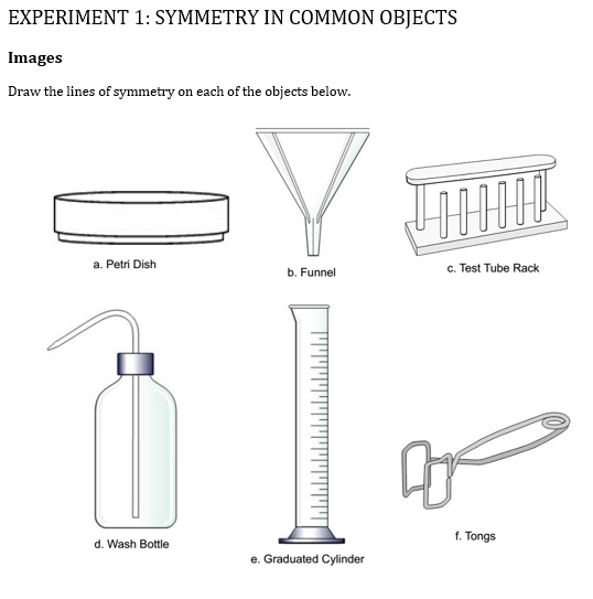 Solved EXPERIMENT 1: SYMMETRY IN COMMON OBJECTS Images Draw | Chegg.com