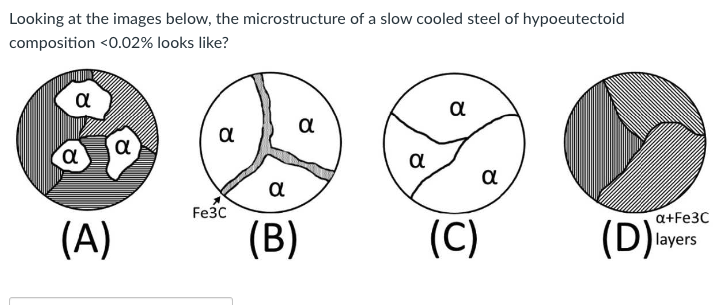 Solved Looking at the images below, the microstructure of a | Chegg.com