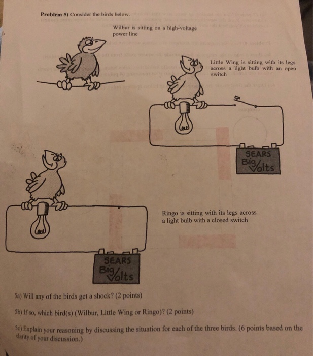 Solved Problem 5) Consider the birds below. Wilbur is | Chegg.com