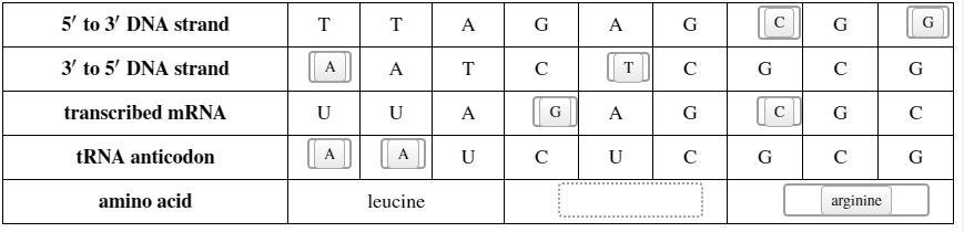 Solved Protein Synthesis is a complicated process involving | Chegg.com