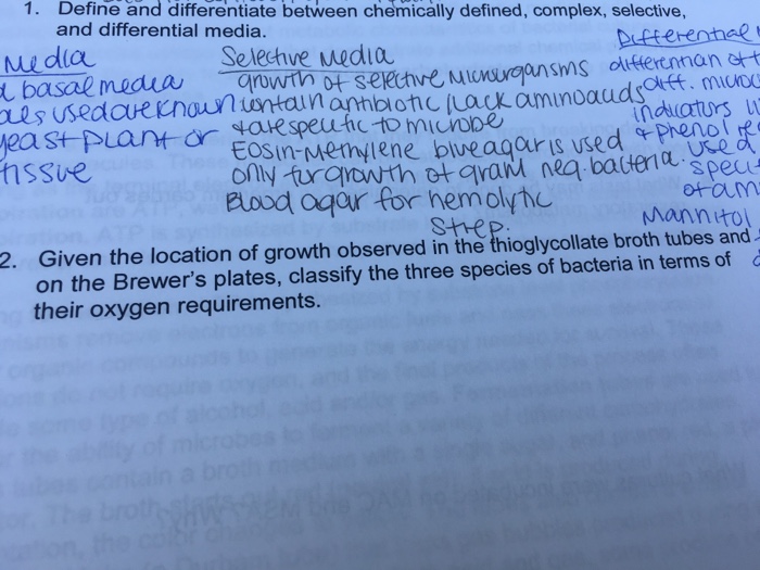 Solved 1. Define and differentiate between chemically | Chegg.com