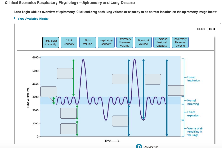 Solved Clinical Scenario: Respiratory Physiology-Spirometry | Chegg.com Solved Clinical Scenario: Respiratory Physiology-Spirometry | Chegg.com