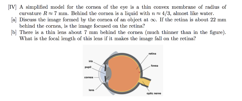 Solved A simplifed model for IV] the cornea of the eye is a | Chegg.com