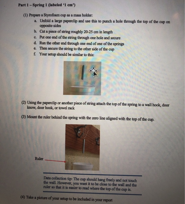 Solved Part 1- Spring 1 (labeled '1 cm') (1) Prepare a | Chegg.com