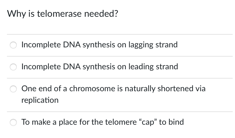 Solved Why is telomerase needed? Incomplete DNA synthesis on | Chegg.com