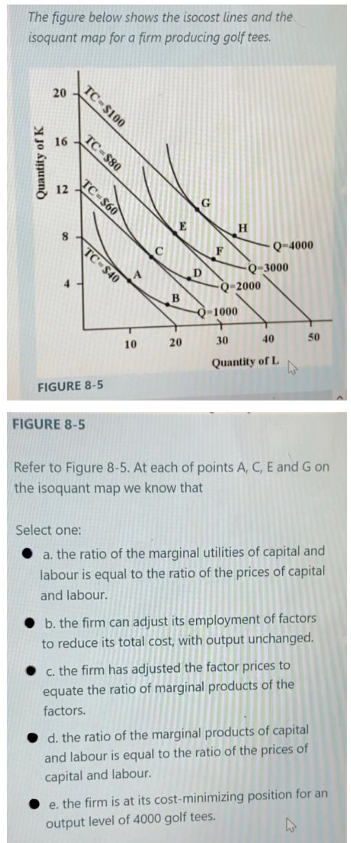 Solved The figure below shows the isocost lines and the | Chegg.com