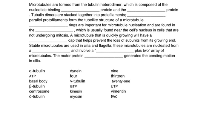 Solved Microtubules are formed from the tubulin heterodimer, | Chegg.com