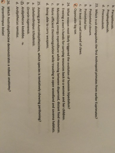 Solved b. Parapithecids. c. Propliopithecids. d. | Chegg.com