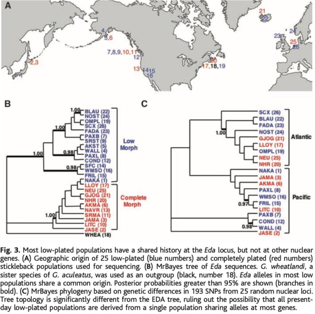 Below is a figure from a paper by Colosimo et al. | Chegg.com