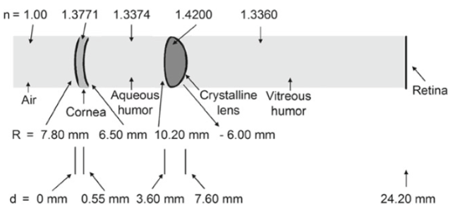 Solved The figure below shows a model of the eye in which | Chegg.com
