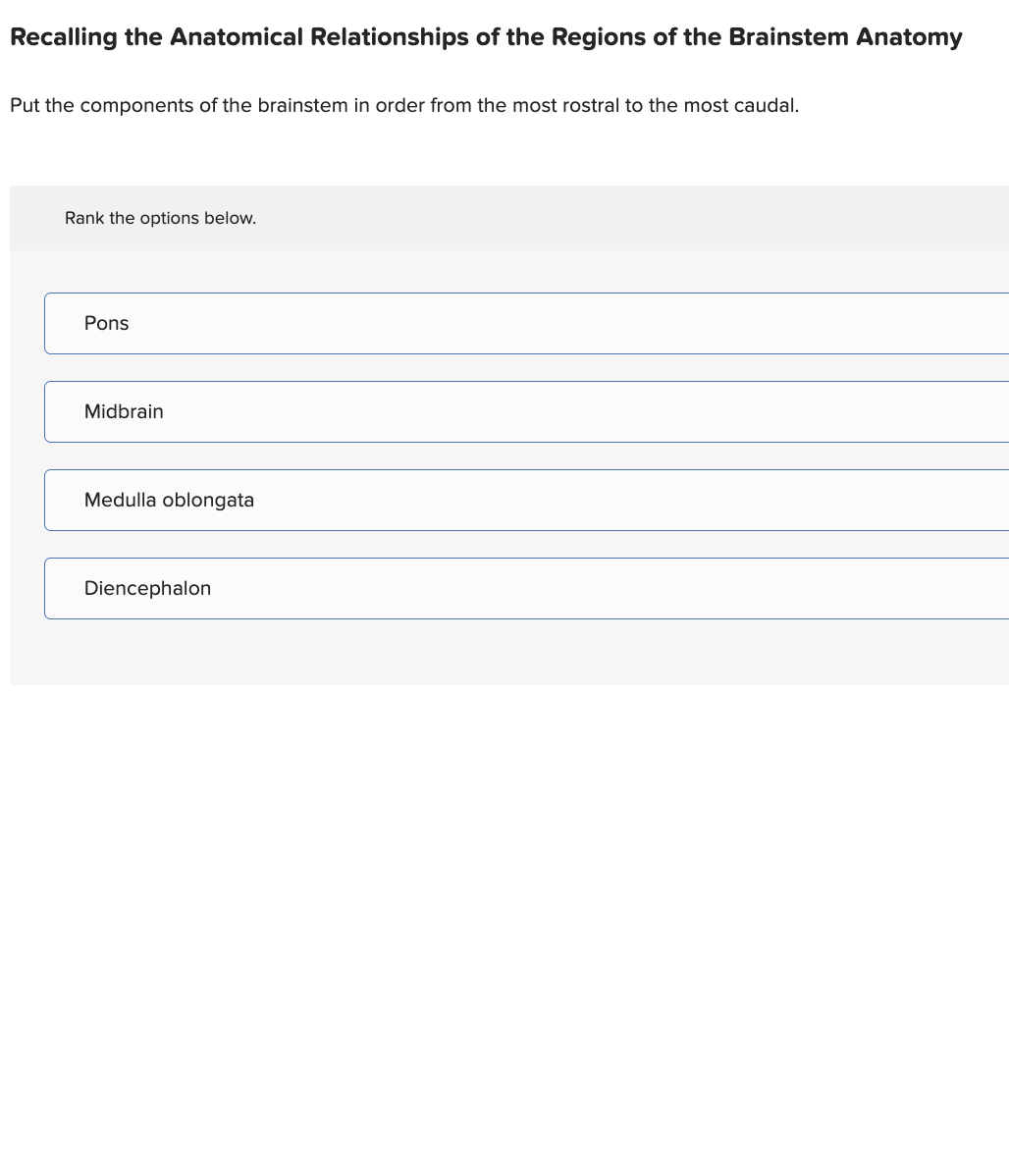 Solved Recalling the Anatomical Relationships of the Regions | Chegg.com