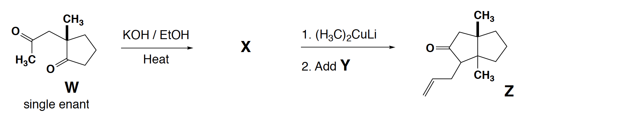 Solved CH3 CH KOH / EtOH 1. (H3C)2Culi Х Н.С Heat 2. Add Y | Chegg.com