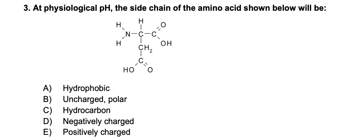 Solved 3. ﻿At physiological pH, ﻿the side chain of the amino | Chegg.com