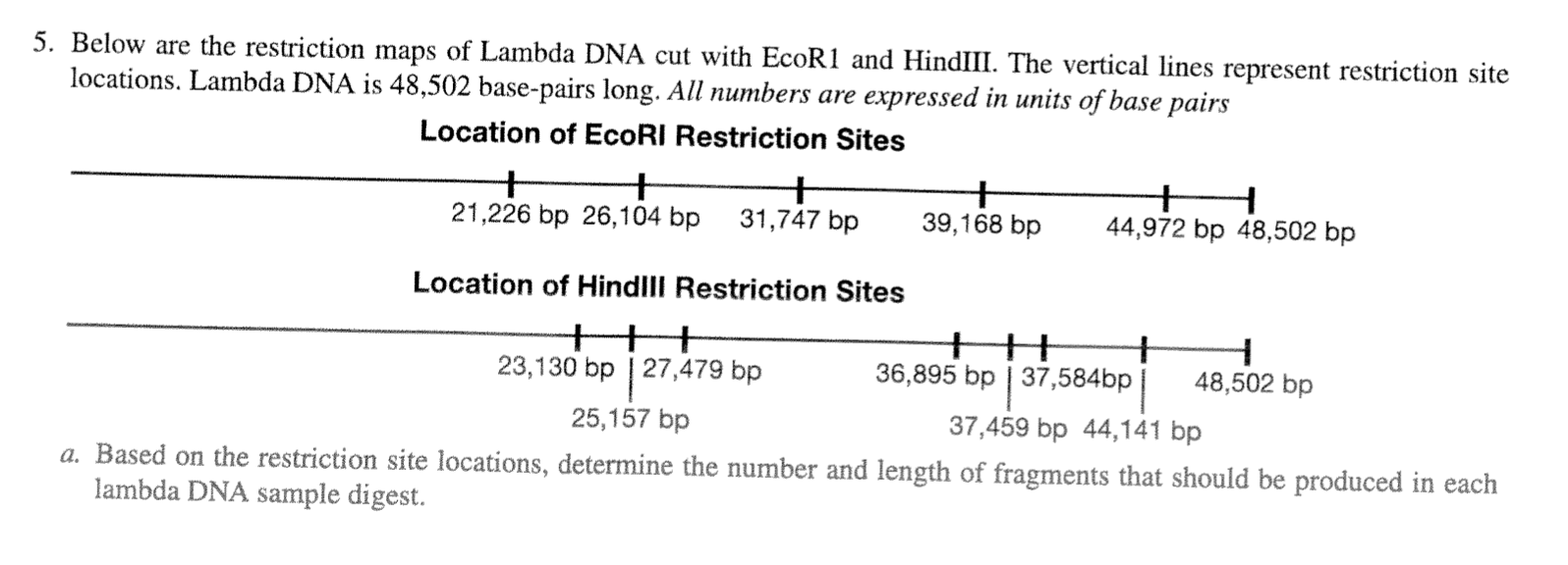 Solved 5. Below are the restriction maps of Lambda DNA cut | Chegg.com