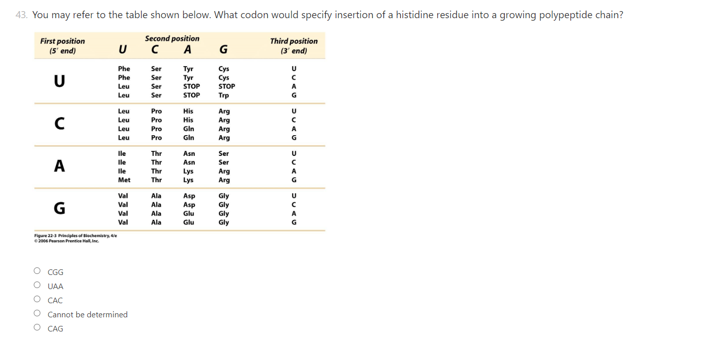 Solved Figure 22-3 Principles of Biochemistry, 4/e \& 2006 | Chegg.com