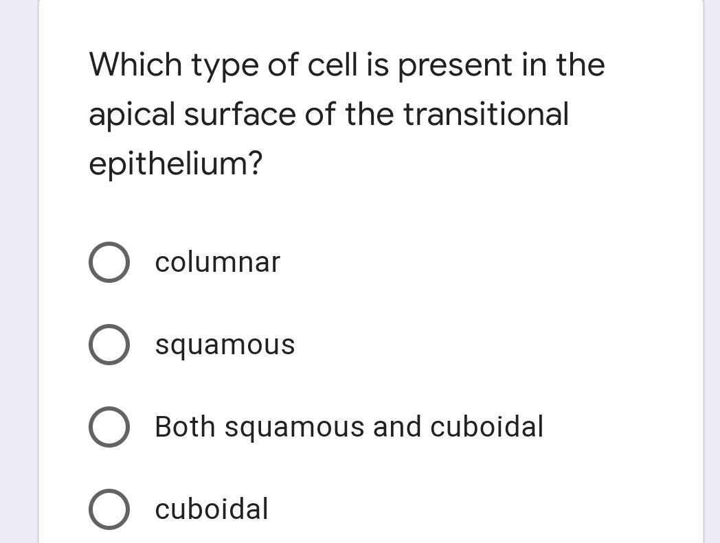 Solved Which type of cell is present in the apical surface | Chegg.com