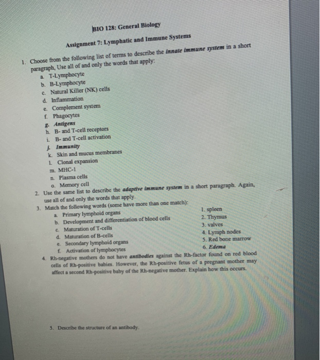 Solved BIO 128: General Biology Assignment 7: Lymphatic and | Chegg.com