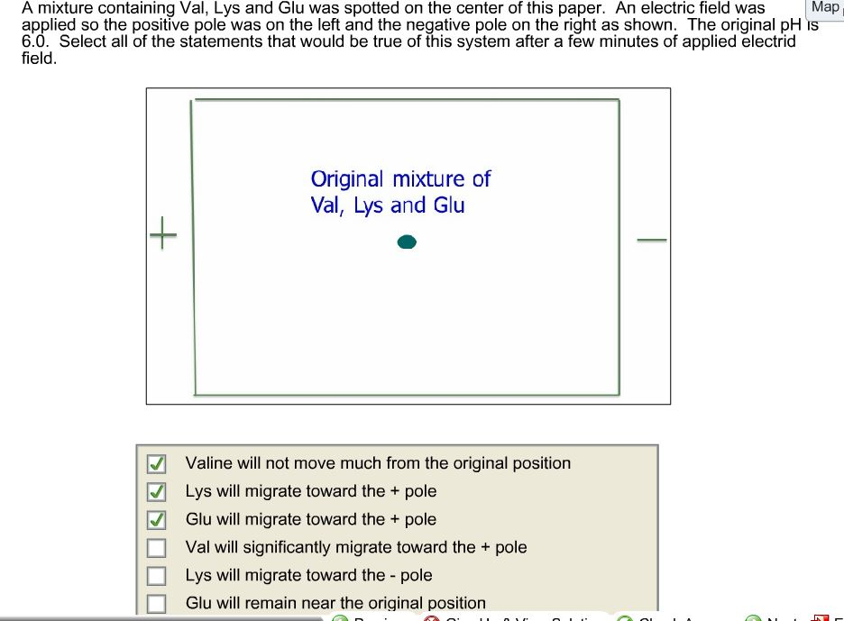Solved A mixture containing Val, Lys and Glu was spotted on | Chegg.com